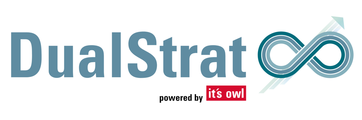 DualStrat: Strategic management of the dual transformation